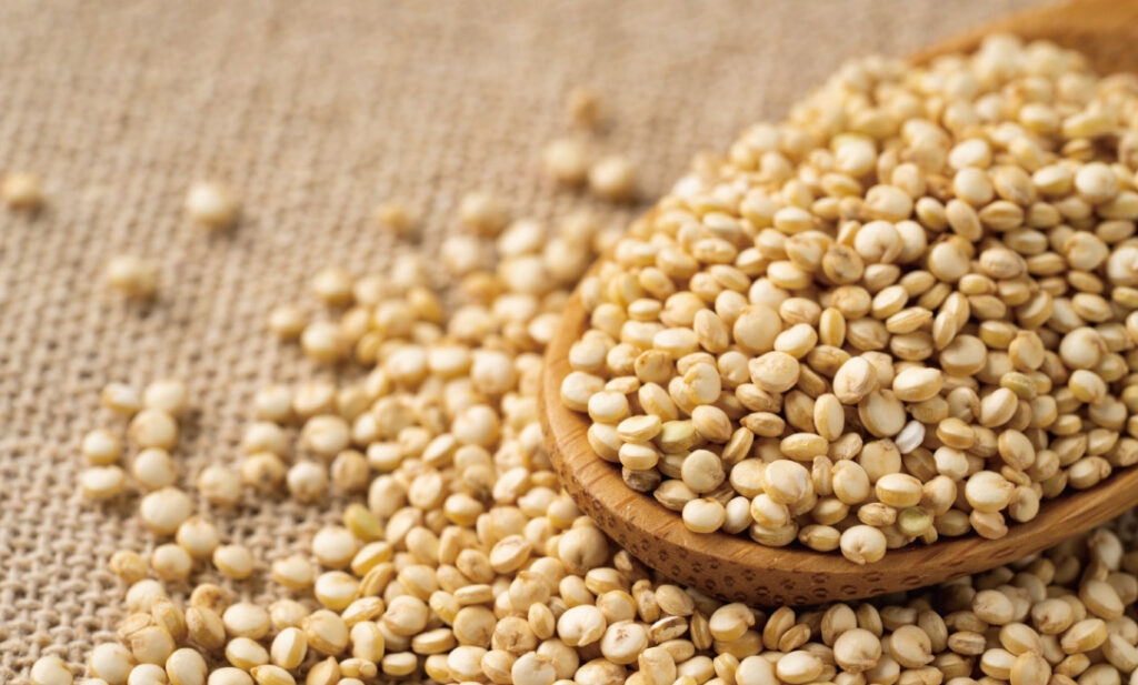 キヌアの正しい炊き方とは？失敗しない下処理から保存まで徹底紹介 | タマチャンショップ 公式サイト